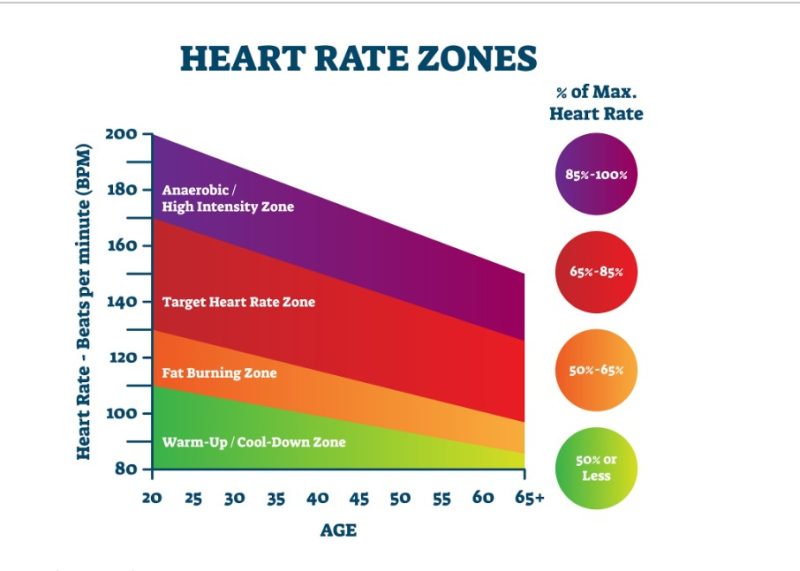 Weight Loss Zone Heart Rate: The Best Heart Rate for Fat Loss